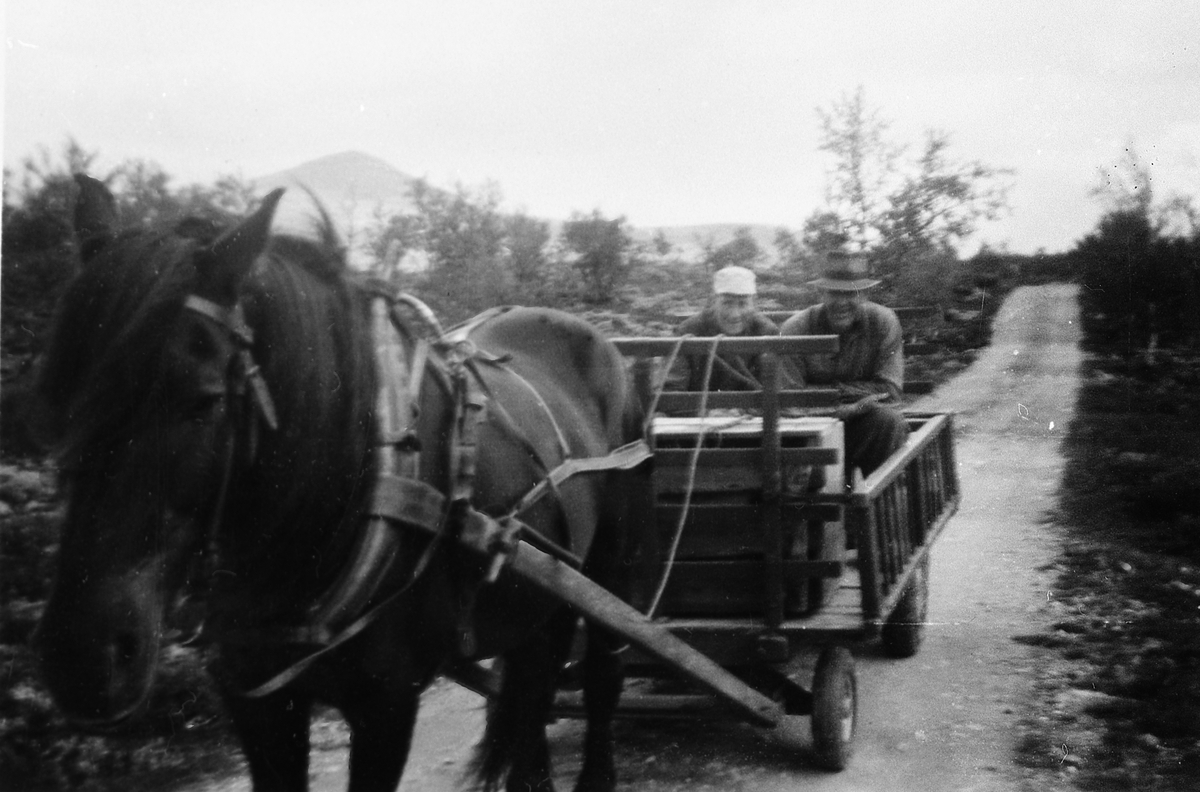 To menn med hest og vogn ved Mistra i Nysetra - Anno Musea i Nord-Østerdalen / DigitaltMuseum